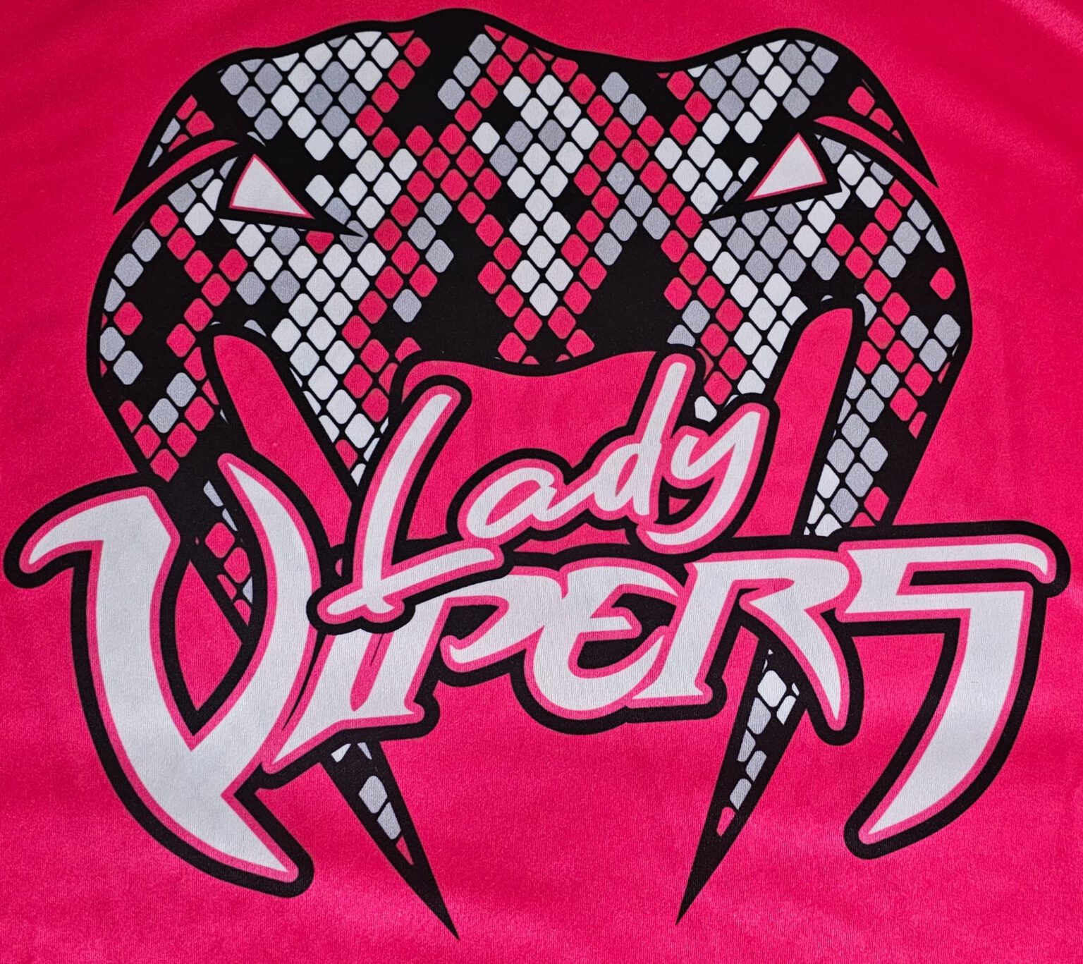 Lady Vipers – Crazy Ball Regensburg